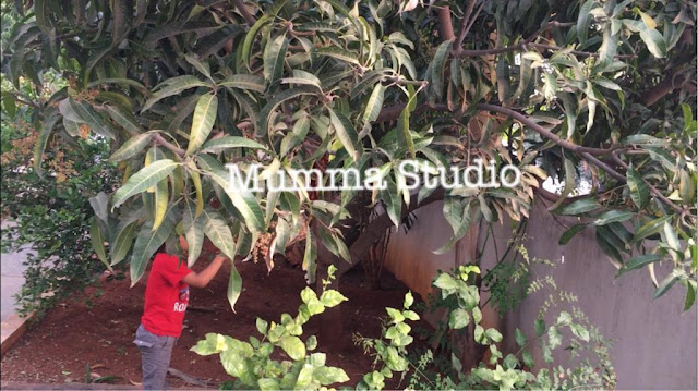 Festive Mango Toran/ Mango Toran / Maa Toran - Celebrating Festivals In ...