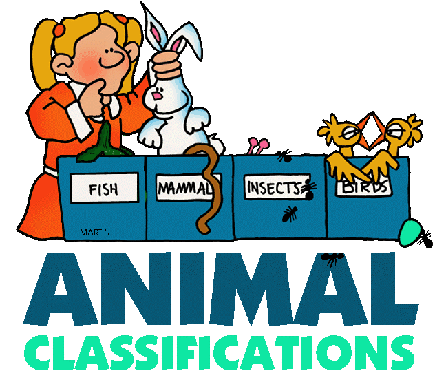 Working in year five: Animal Classification