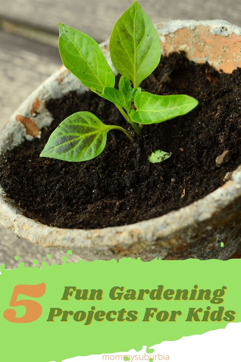 Mommy Suburbia: 5 Easy Spring Gardening Projects For Kids
