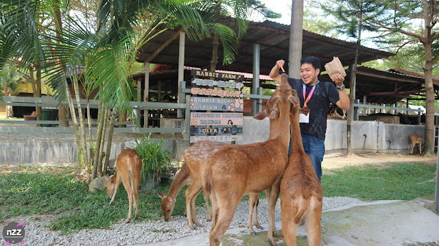 Mini Zoo: Rabbit Fun Land, Lenggeng, Negeri Sembilan