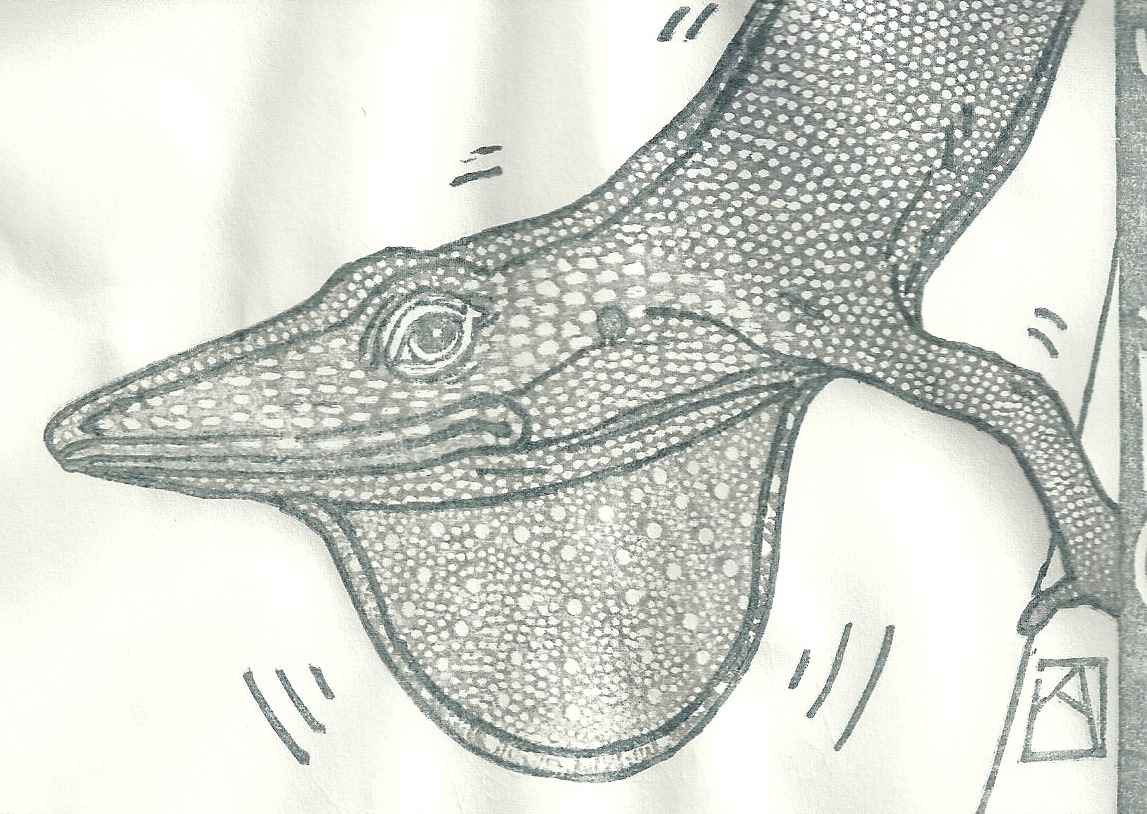 Reptile Drawing | Wallpapers Gallery