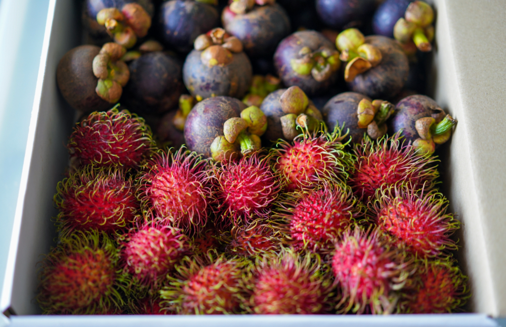 Eat Drink KL | If Only: Mangosteen Boxes