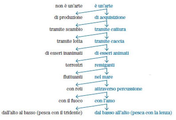 Imparare ad imparare: Metodo dicotomico