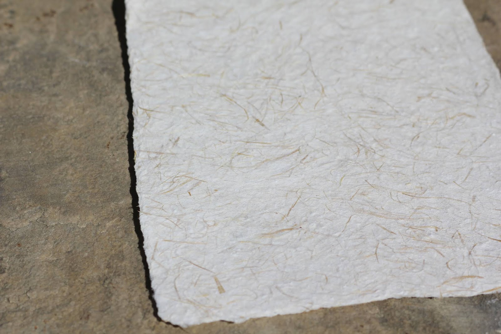 Wild Creations: Garlic Paper part 2