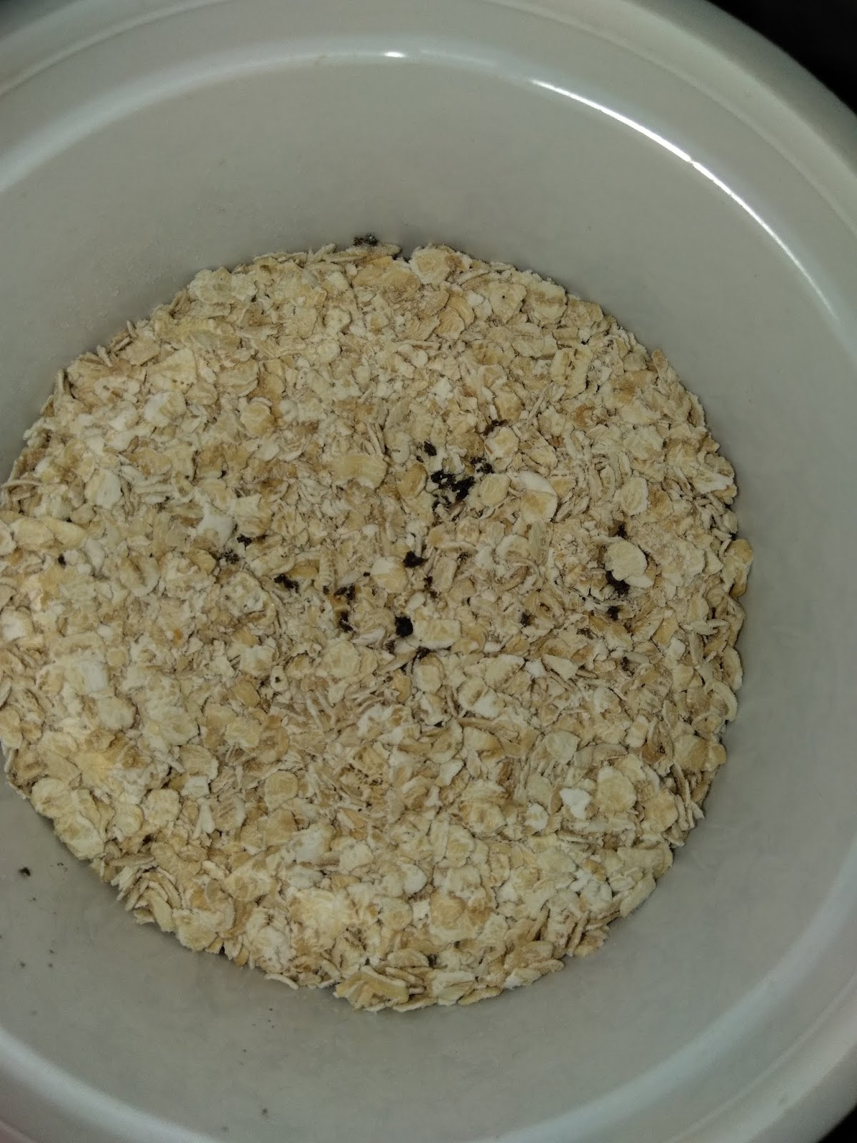 How to Fatten Up Your Fishing and Composting Worms with 5 Simple ...