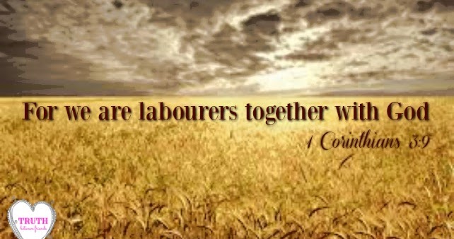 Truth Between Friends: Co Laborers