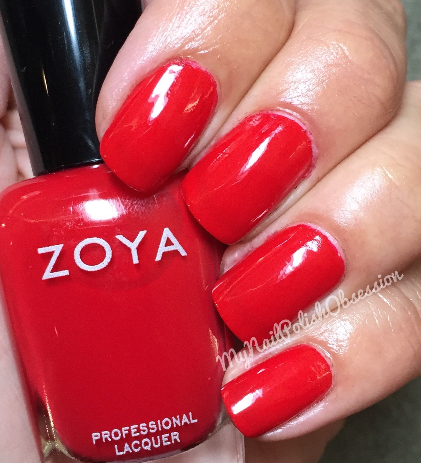 My Nail Polish Obsession: Zoya Focus, Fall 2015