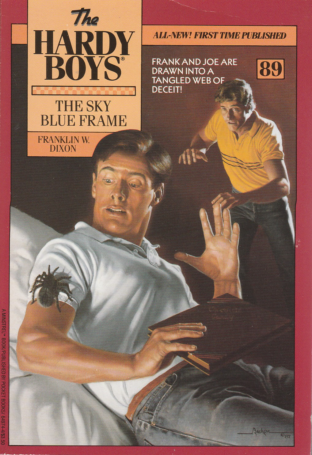 Series Books for Girls: Hardy Boys #89 Sky Blue Frame, #90 Danger on ...