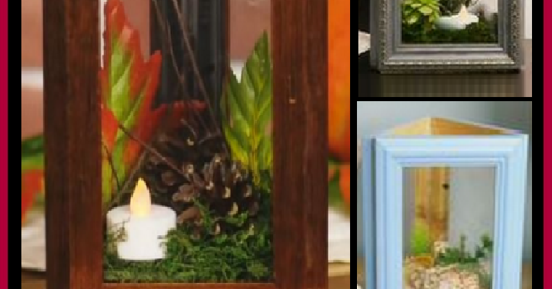 Dollar Store Crafter: 3 Terrarium Ideas Using Dollar Tree Picture ...