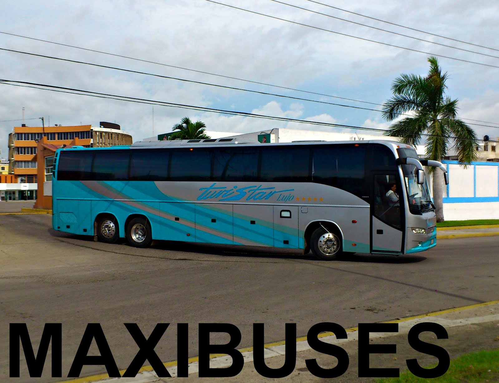 MAXIBUSES: TURISTAR LUJO