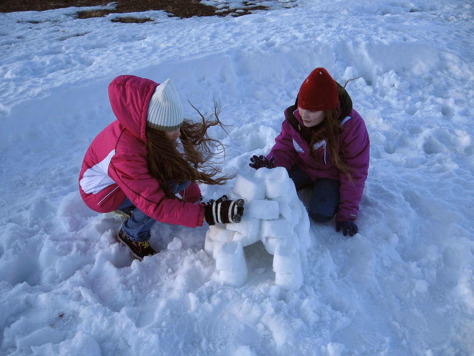 Almost Unschoolers: Snow Block Construction - One More Igloo
