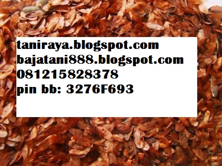 Jual Biji/ Benih Super dengan harga Murah (BAJATANI): JUAL BIJI BENIH ...