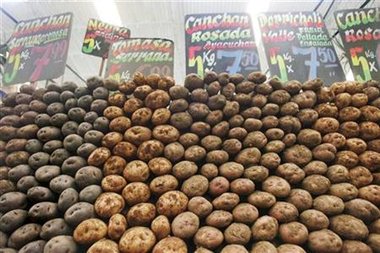 El rico Perú: La papa Peruana