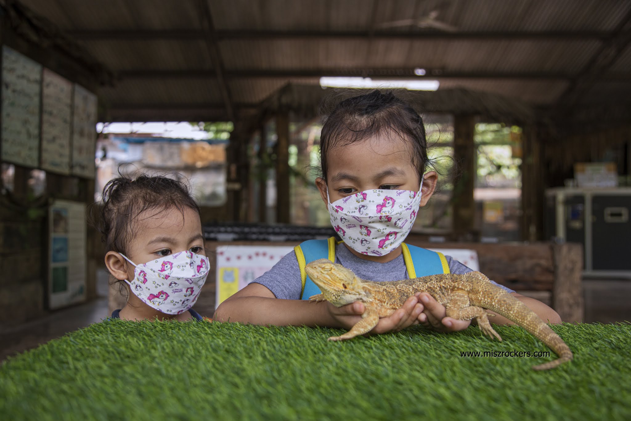 BAWA ANAK - ANAK KE FARM IN THE CITY SERI KEMBANGAN MELIHAT HAIWAN ...