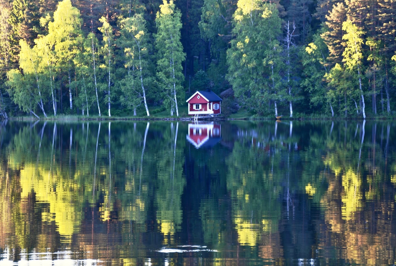 MÖKKI LIFE: ONGESTOORD HERBRONNEN IN DE FINSE NATUUR - DICHTBIJ & VER WEG