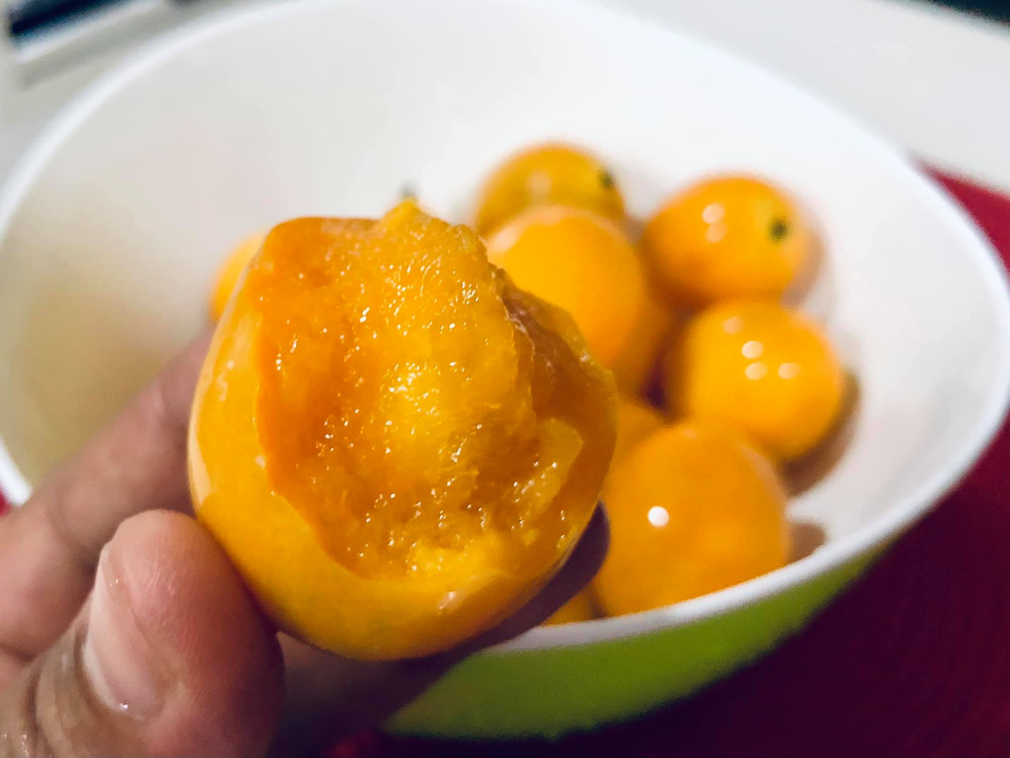 WORDLESS WEDNESDAY - BUAH KUNDANG