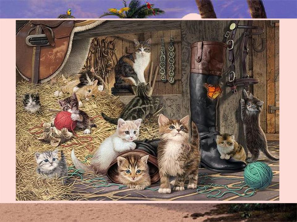 Soloillustratori: Steve Read