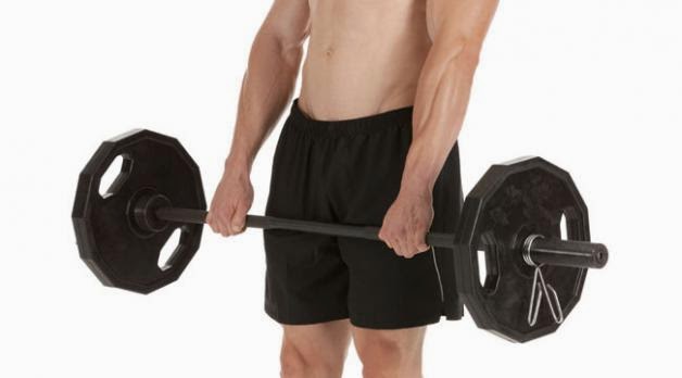 Body Building & Fitness Guide: ARNOLD'S BLUEPRINT TO MASS