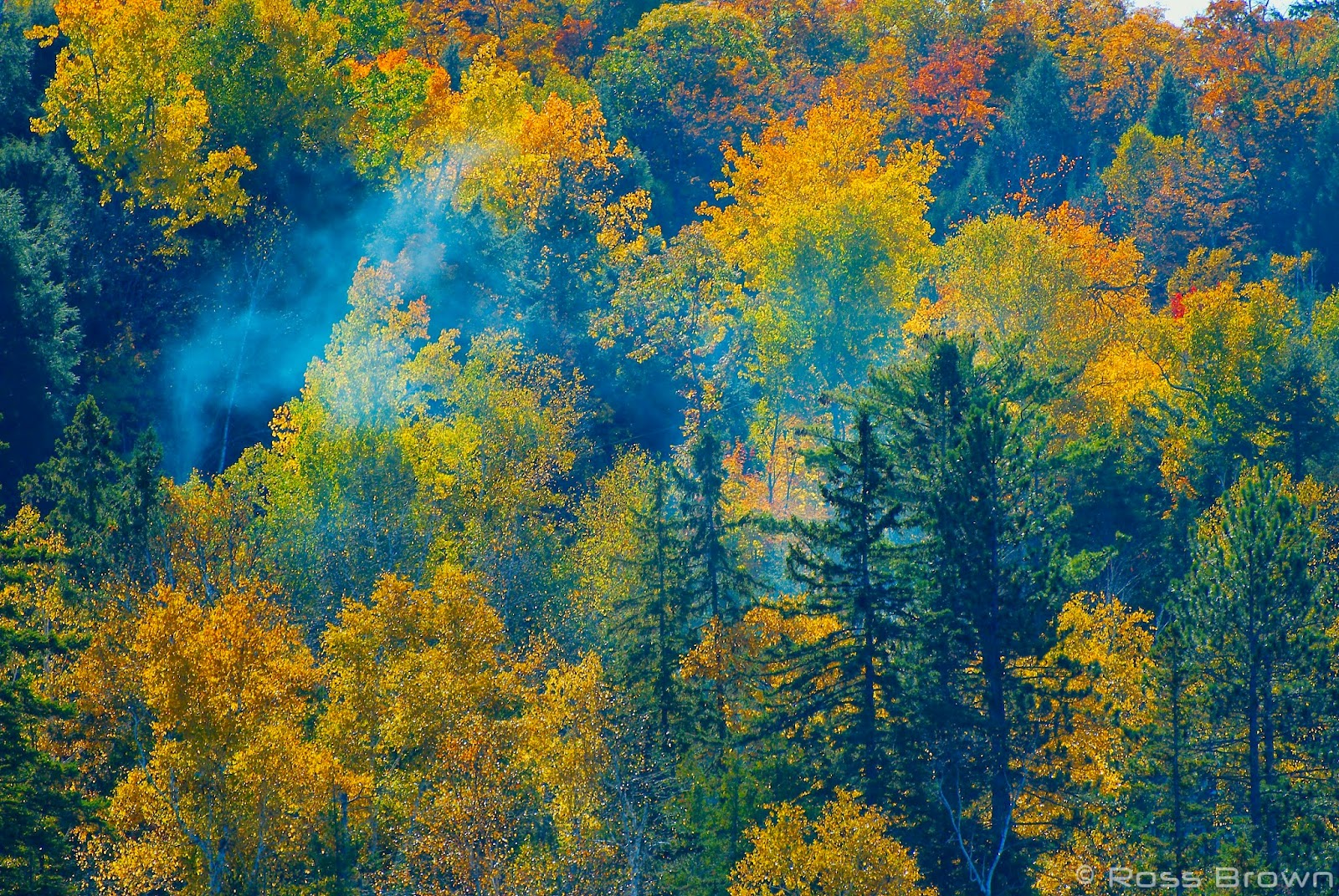 The Brown Knowser: Photo Friday: Autumn Smoke