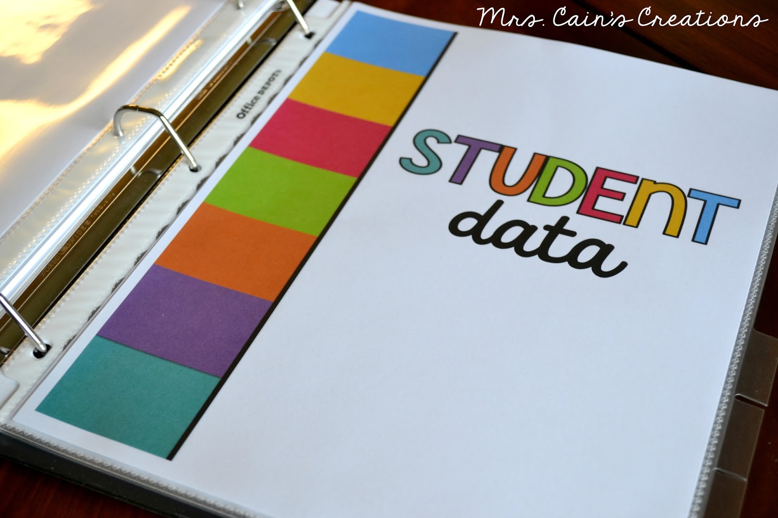 Mrs. Cain's Creations: Creating a Teacher Binder That Works for YOU ...