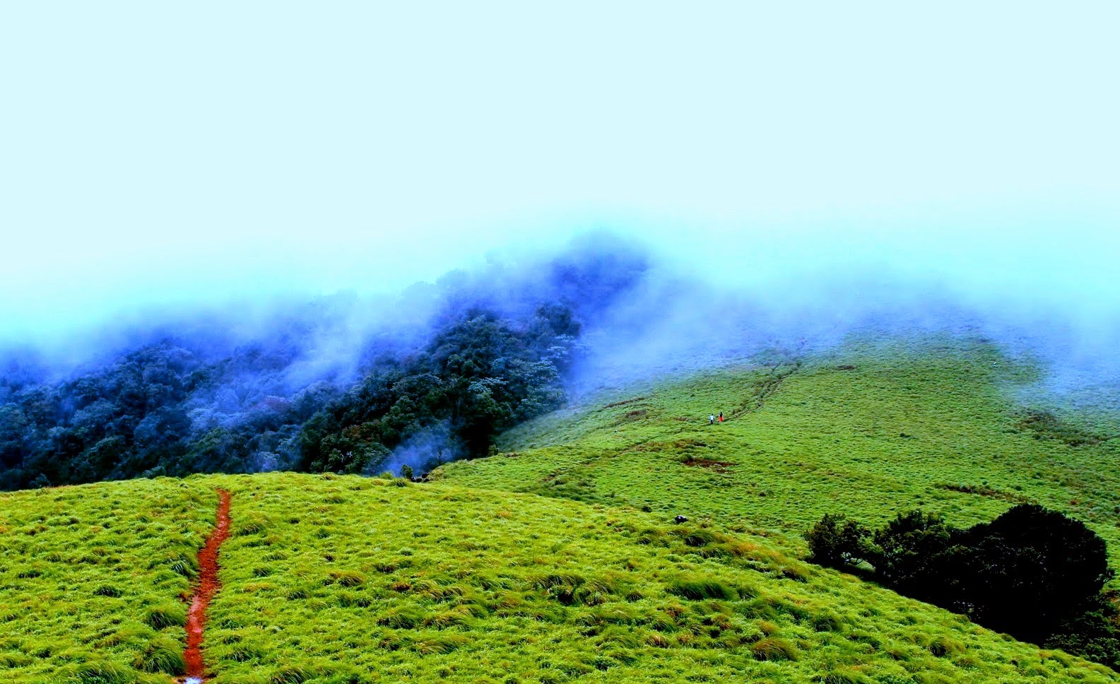 God's Own Country: PAITHALMALA