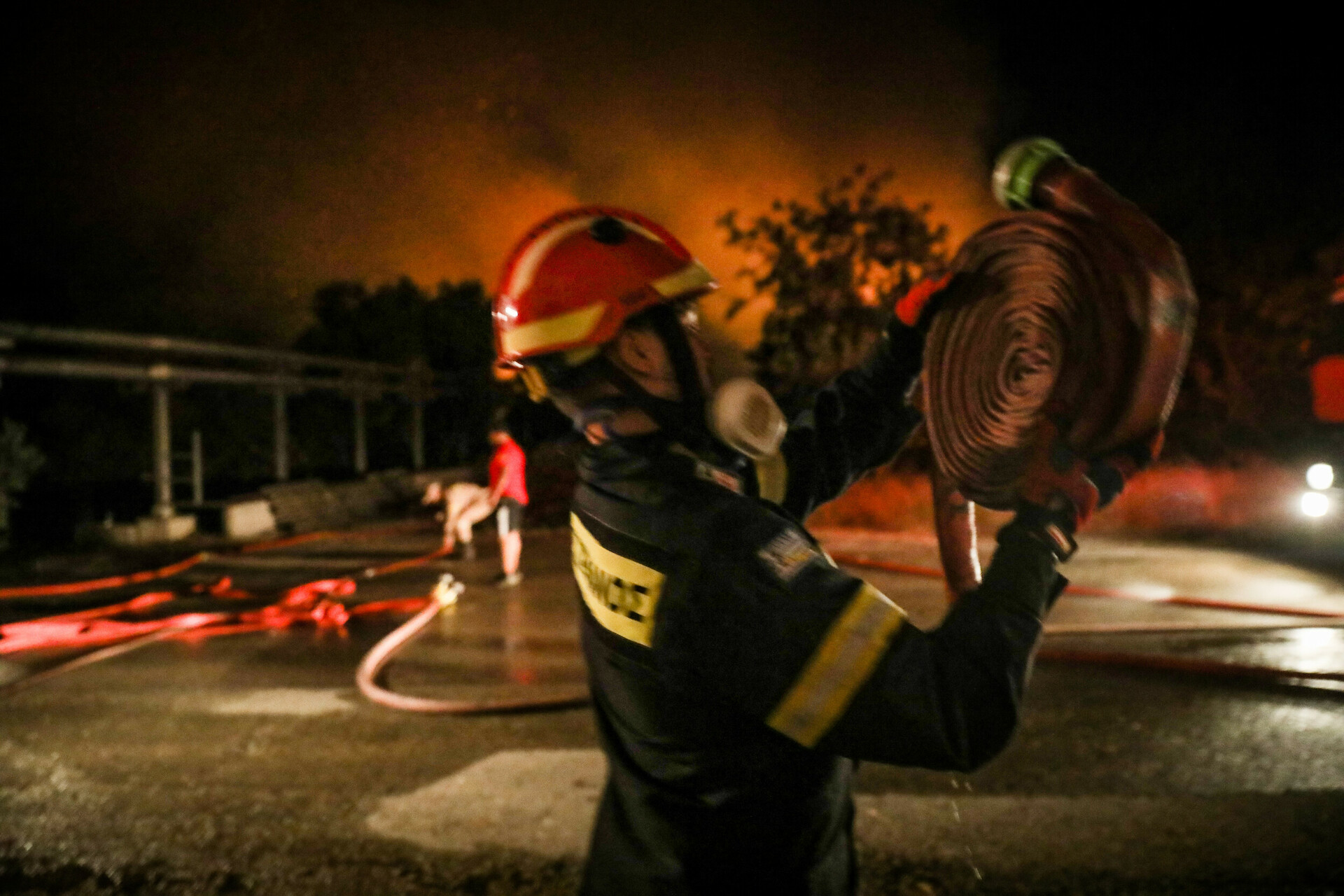 ΗΡΩΕΣ ΣΤΗ ΦΩΤΙΑ: ΑΝΘΡΩΠΟΙ ΣΩΖΟΥΝ ΑΛΟΓΑ ΚΑΙ ΣΚΥΛΙΑ - ΟΙ ΠΥΡΟΣΒΕΣΤΕΣ ΠΟΥ ...