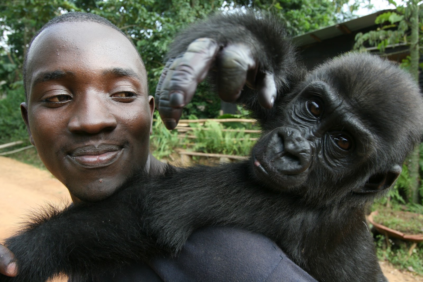 Cameroon ( Cameroun ). A voyage to Cameroon, Africa - Douala, Yaoundé ...