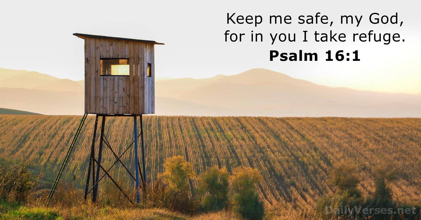 Christian Medical Comment