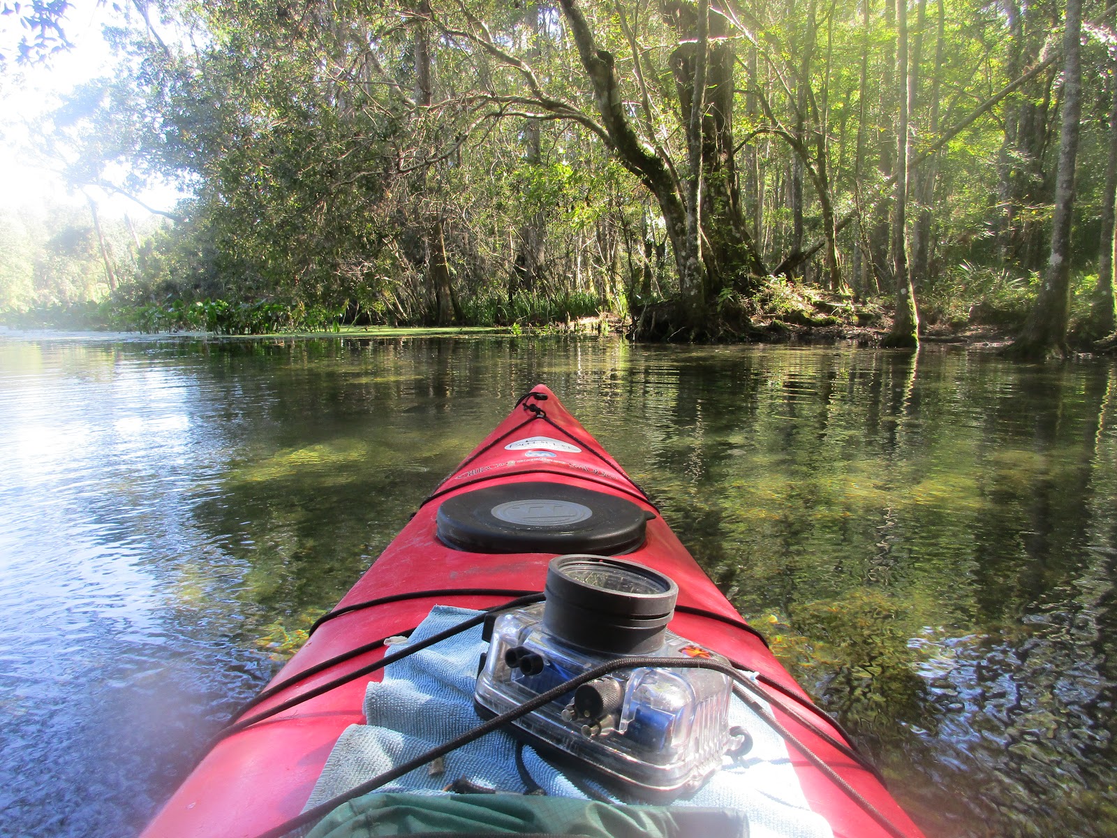 Dave's Yak Tales: Wacissa River