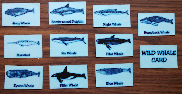 Games For Learning: Whales, Whales, Whales