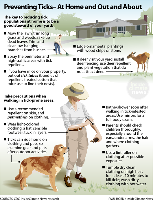 The Rural Blog: Aided by global warming, ticks spread to new areas of U ...