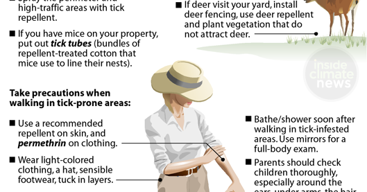 The Rural Blog: Aided by global warming, ticks spread to new areas of U ...