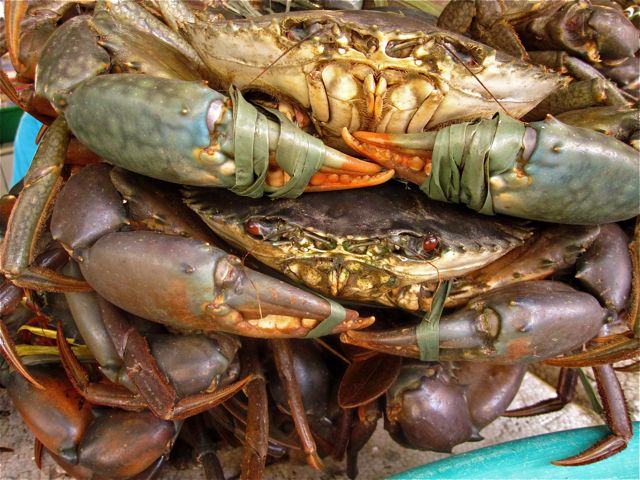 WHY I VALUE LIFE: D' TALIPAPA