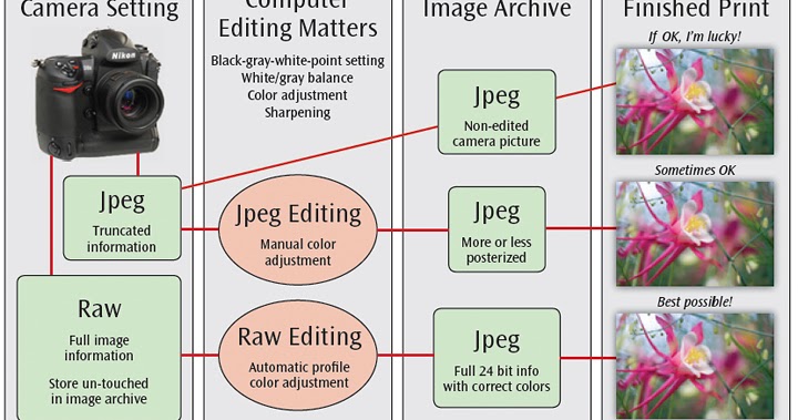 Common Image Formats For Photography Risphotograph common-image-formats-for-photography-risphotograph