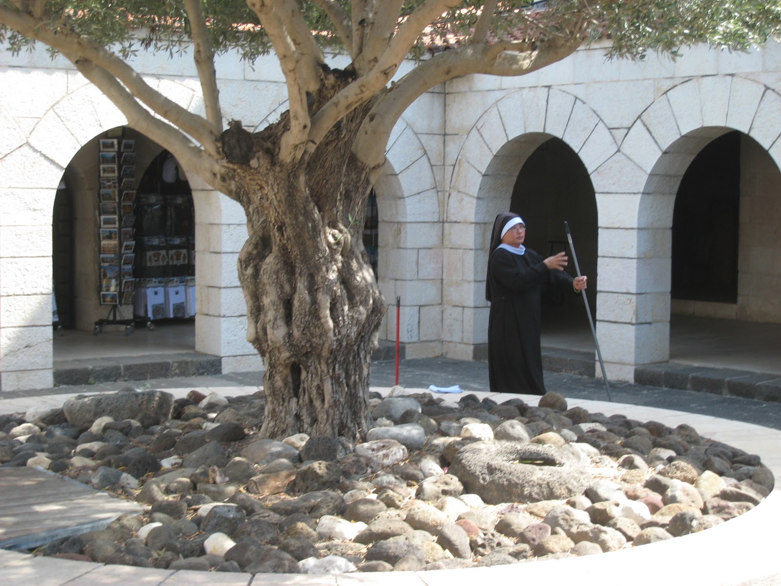 Travels with Hellen: Walking in Jesus' Footsteps