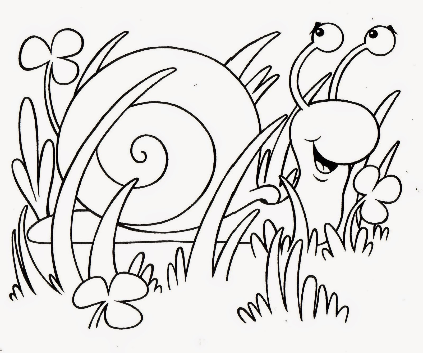 Caracol Desenho Para Colorir - RETOEDU