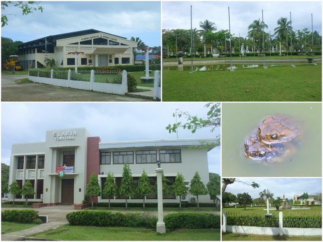 Clarin, Bohol