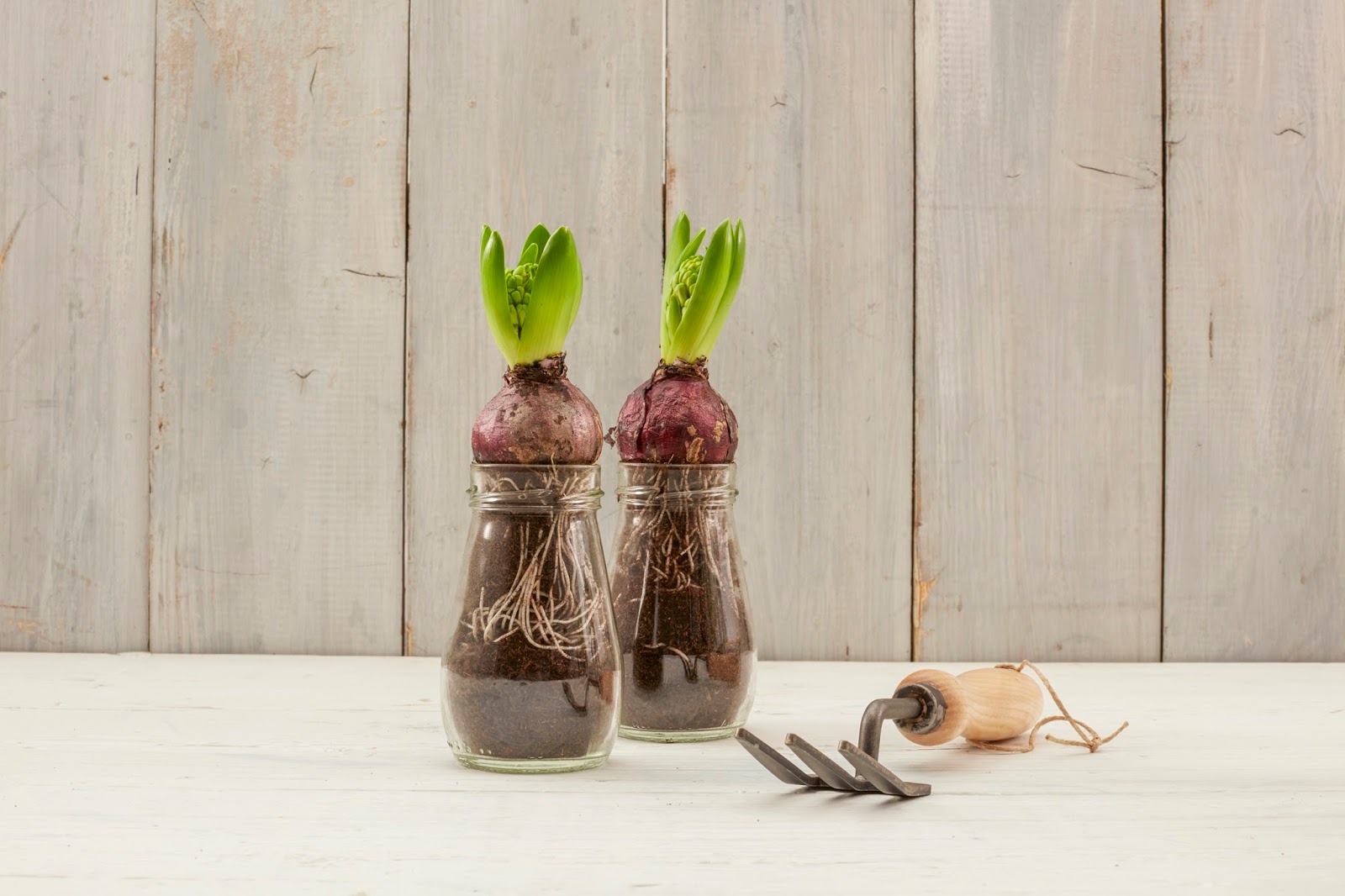 10 Upcycled Jam Jars Ideas To Try Out - Claire Justine