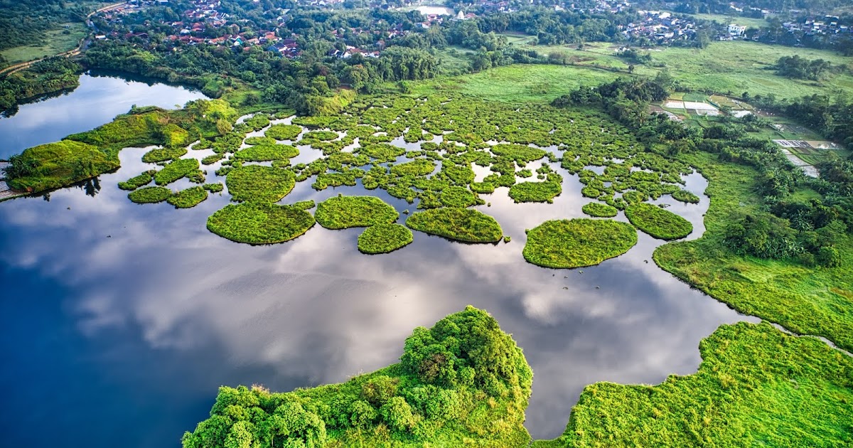 GIS BASIC: Introduction to Ecology