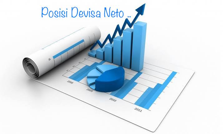 Posisi Devisa Neto (PDN)