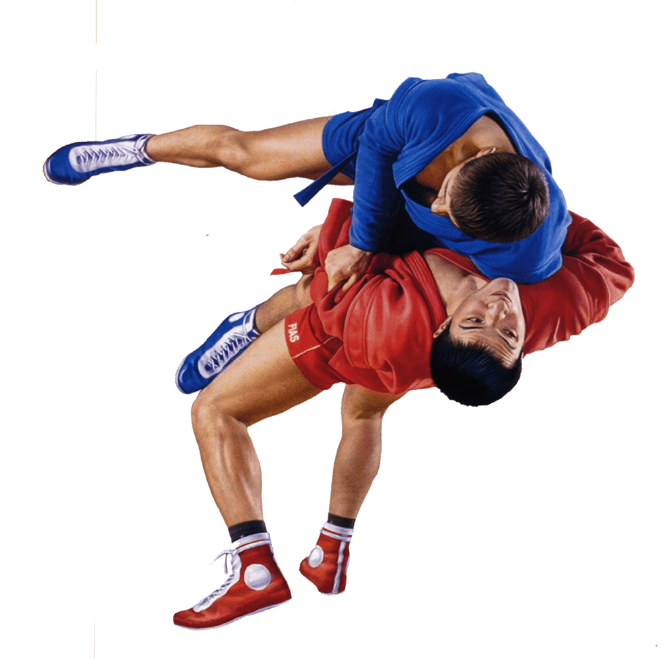 Sambo: El Arte Marcial Ruso | Amigos de Rusia