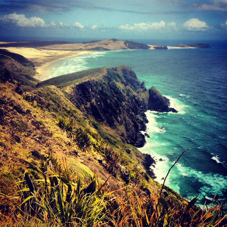 Travelling Budgie: Paihia - Bay of Islands Paradise