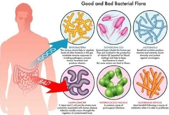 10g/d BCAA Sign. Affect Gut Tenants & Metabolites - Is This the Reason ...