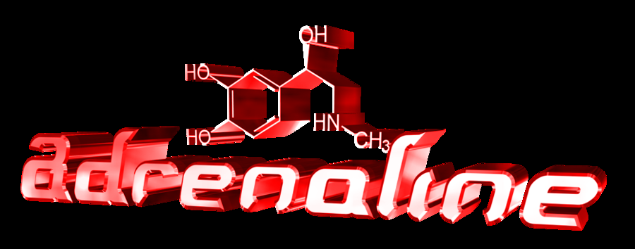 The Seriously Profound Blog: Psychotic Rage