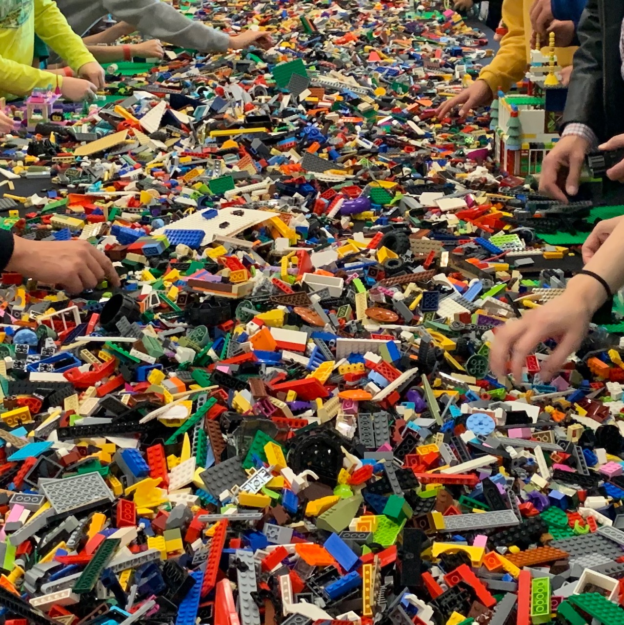 Kodotus: Palomuuri - palikat uuteen järjestykseen