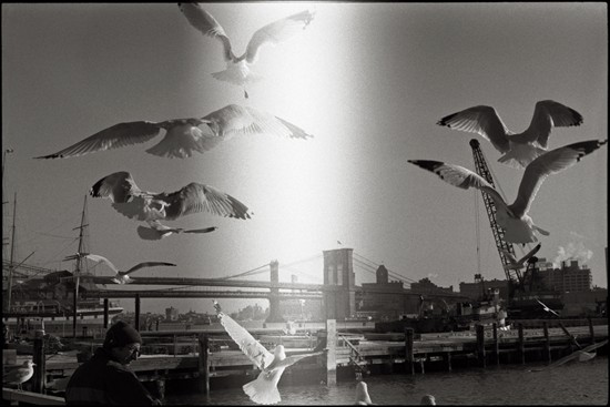 Arte y Arquitectura: Fotografía en blanco y negro, John Strazza