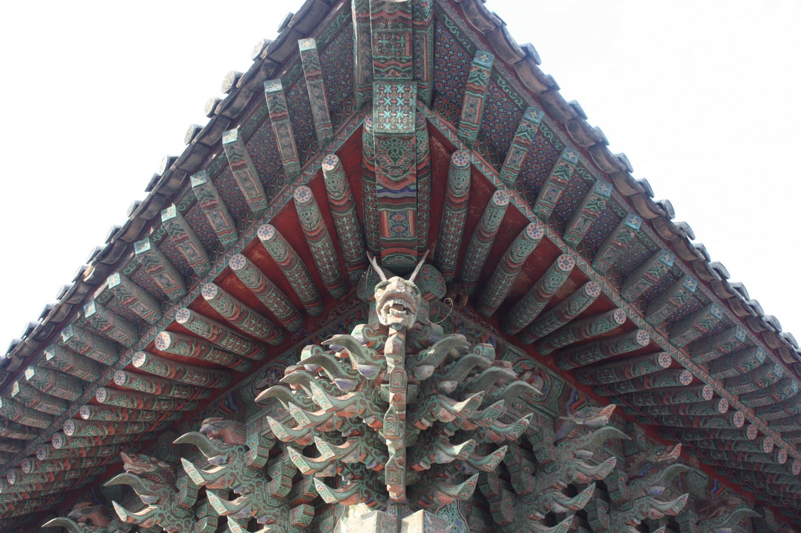 Mystic Korea: Korean Flora and Fauna