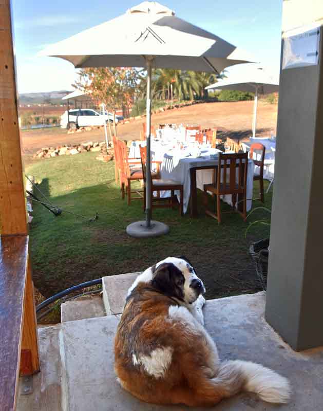 .: Robertson Wine Valley's Wacky Wine Weekend 10. Arendsig