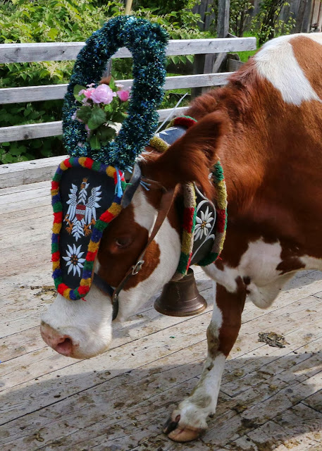 Antique Style: Fall Festival in the Alps: Party Til The Cows Come Home