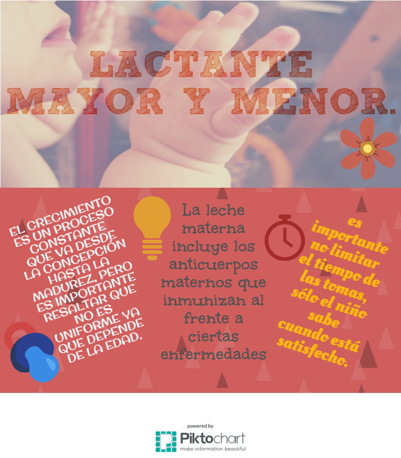 Alimentación en lactante mayor y menor.